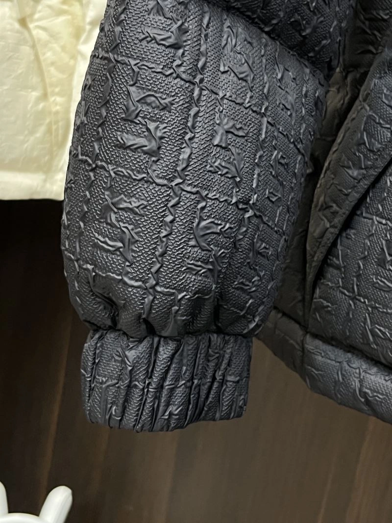 Accurate model Christian Dior Down Jackets