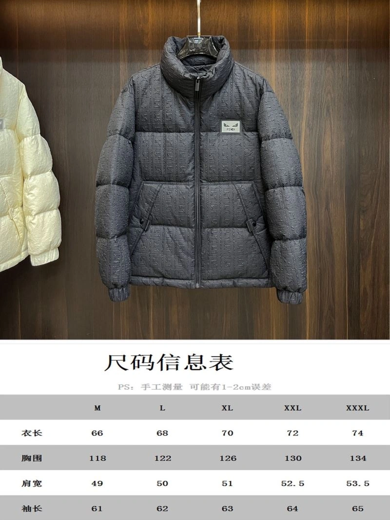 Accurate model Christian Dior Down Jackets