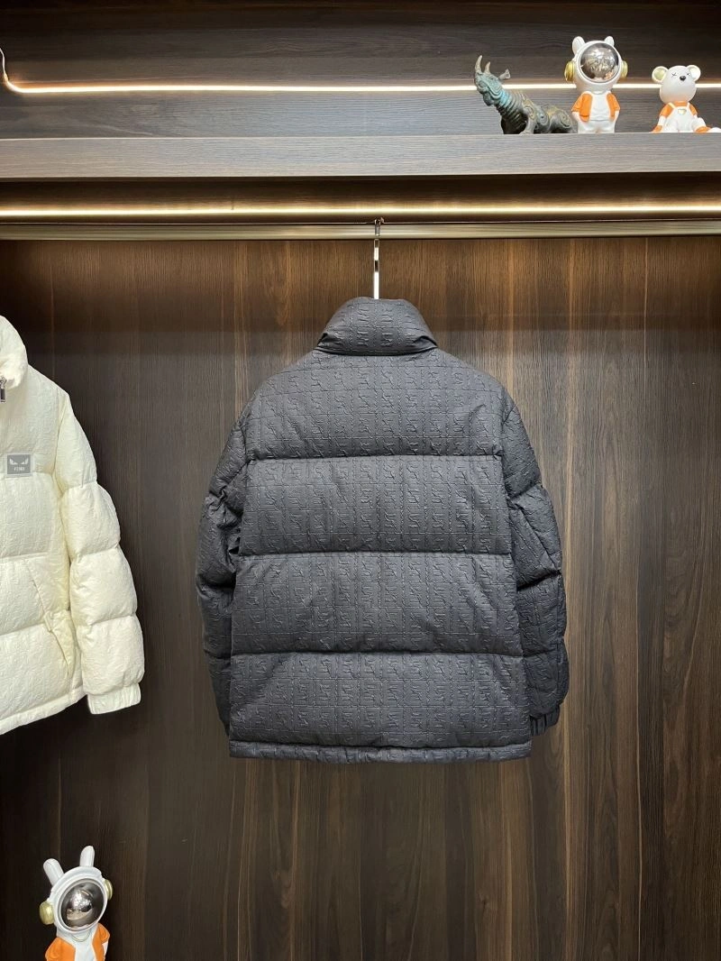 Accurate model Christian Dior Down Jackets
