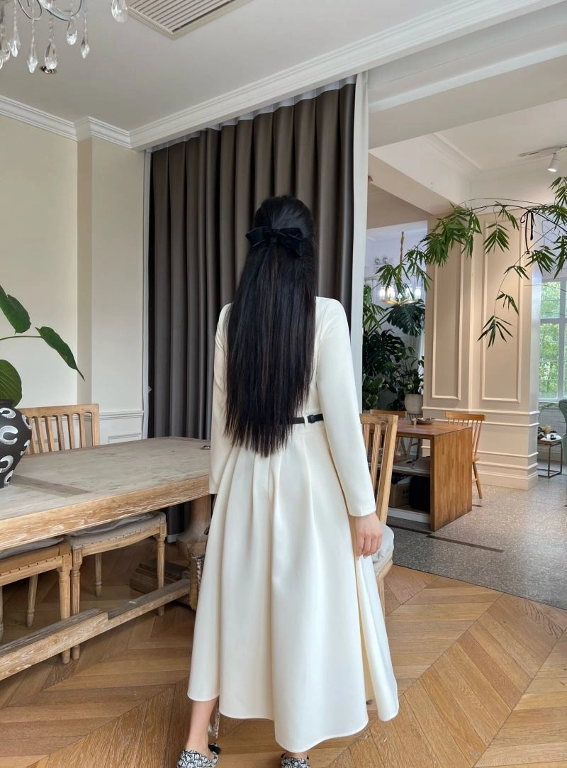 1:1 copy Christian Dior Dress