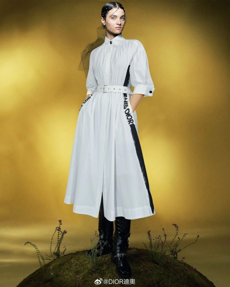 Christian Dior Dress