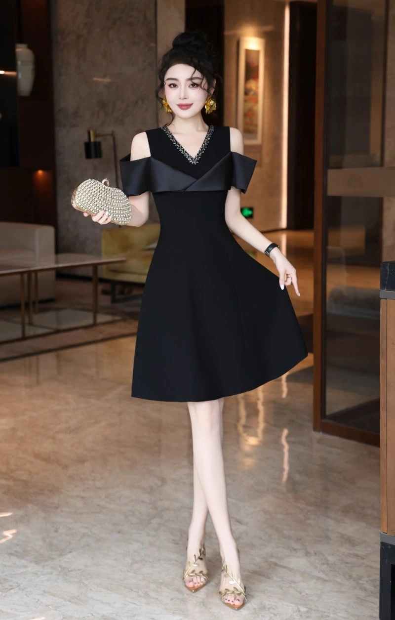 Accurate model Christian Dior Dress