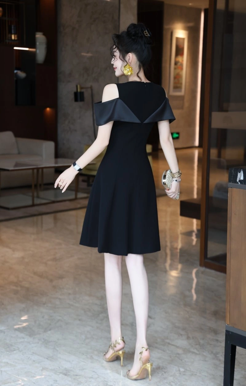 Accurate model Christian Dior Dress