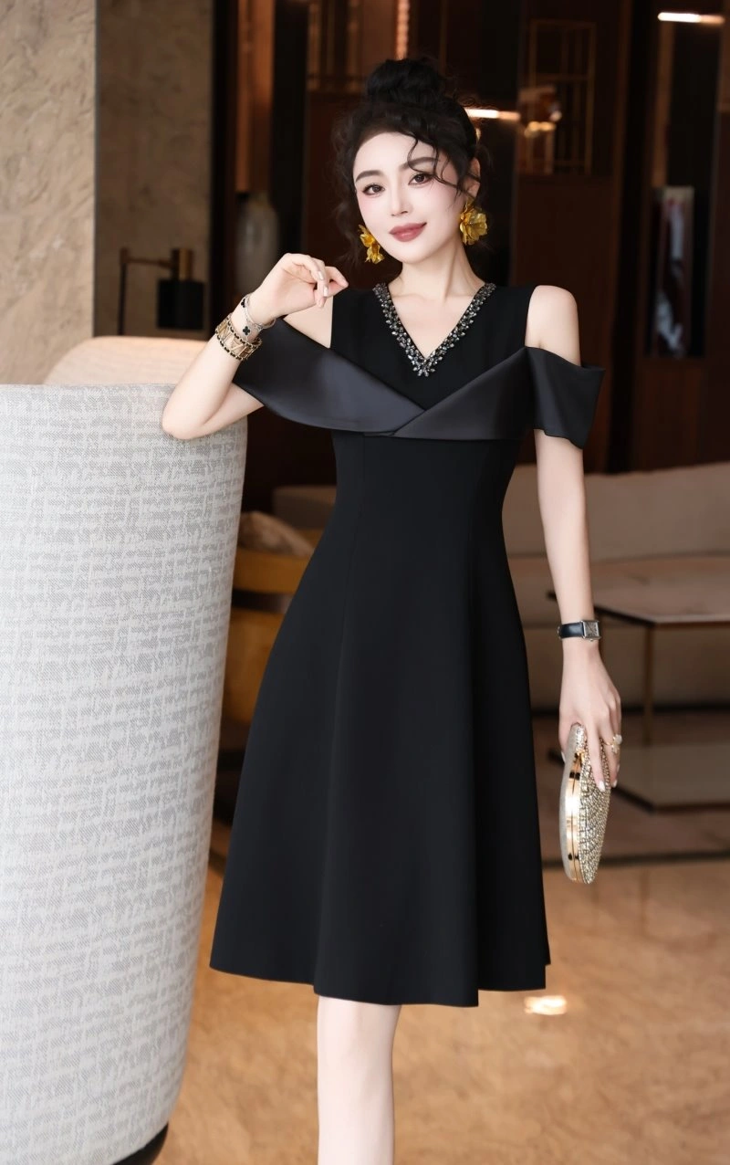 Accurate model Christian Dior Dress