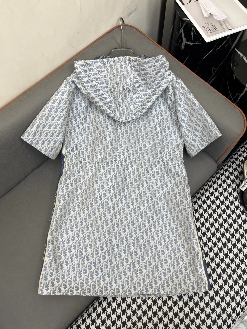 1:1 copy Christian Dior Dress