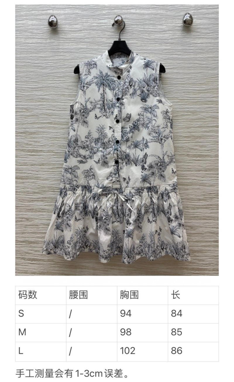 Accurate model Christian Dior Dress