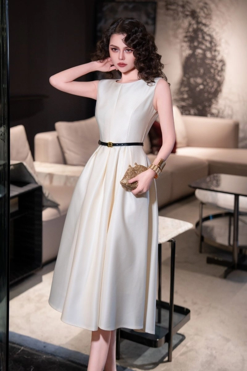 Indistinguishable Christian Dior Dress
