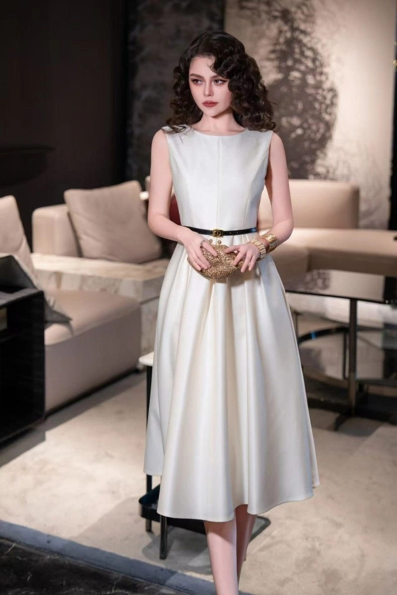 Indistinguishable Christian Dior Dress
