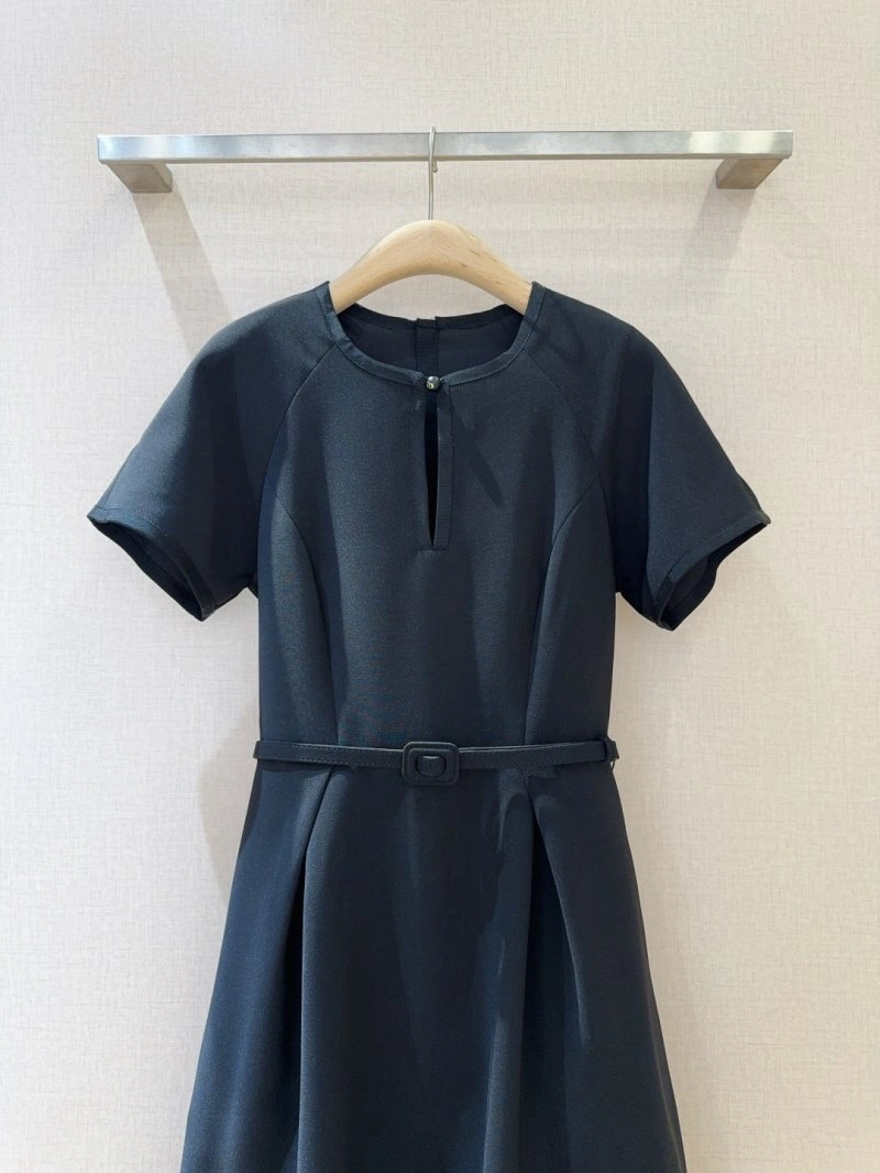 1:1 copy Christian Dior Dress