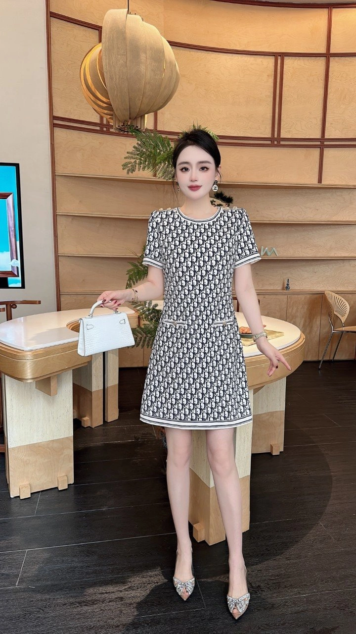 OEM Christian Dior Dress