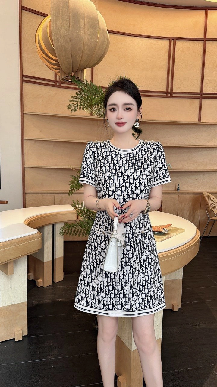 OEM Christian Dior Dress