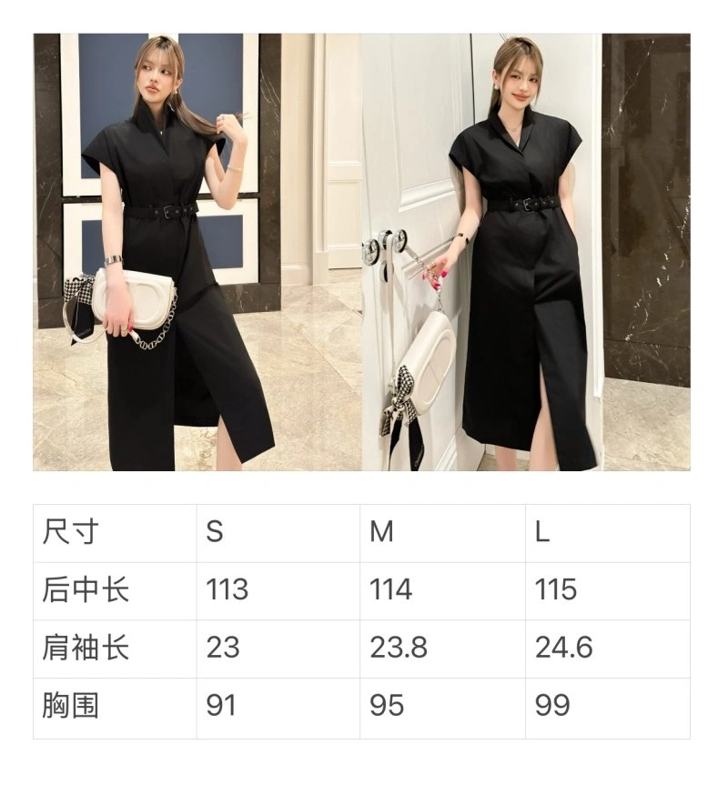 Accurate model Christian Dior Dress