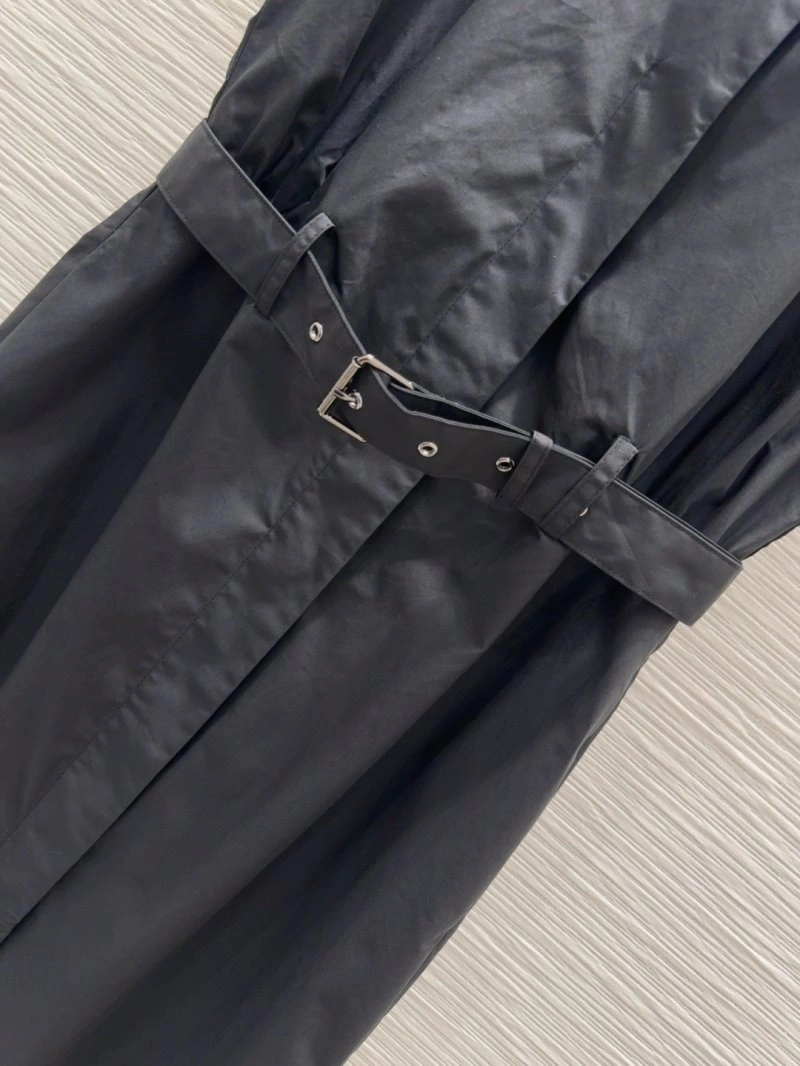 Accurate model Christian Dior Dress
