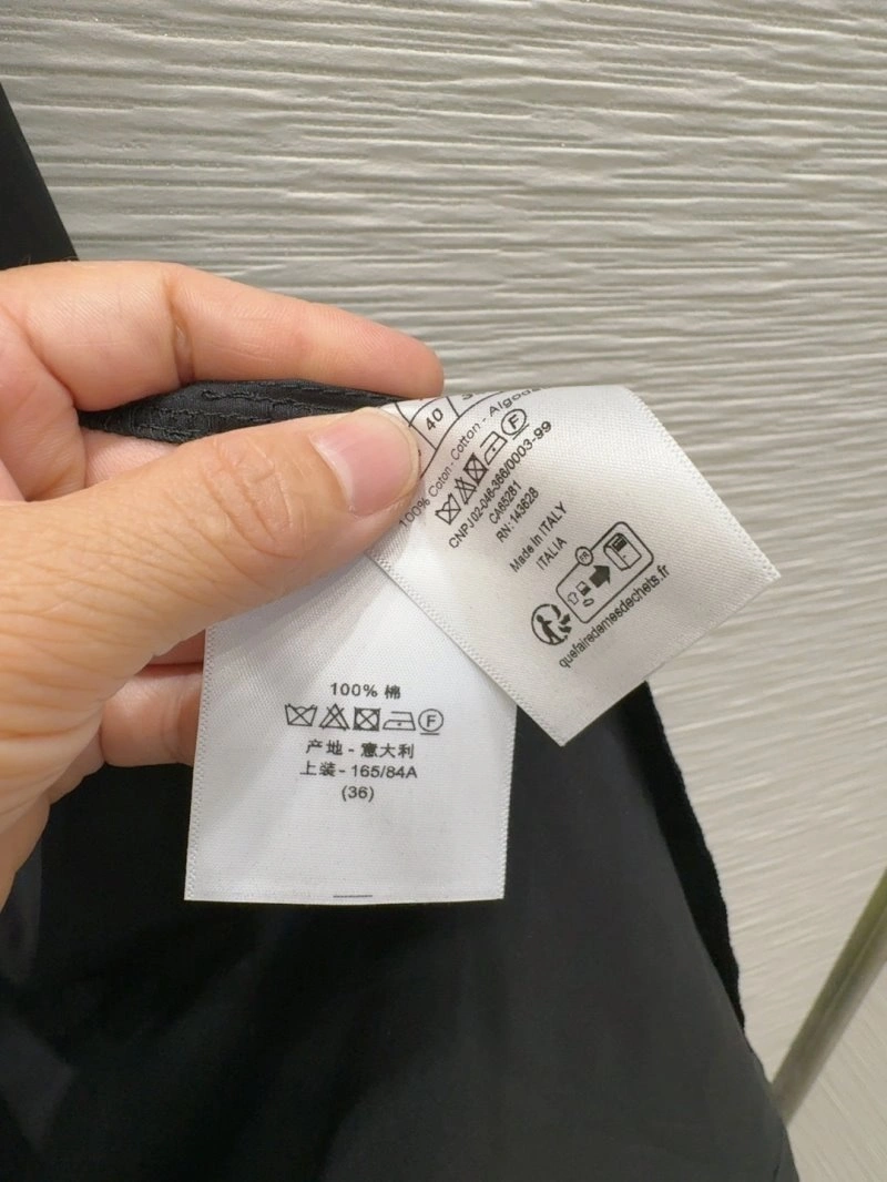 Accurate model Christian Dior Dress