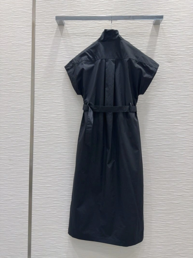 Accurate model Christian Dior Dress
