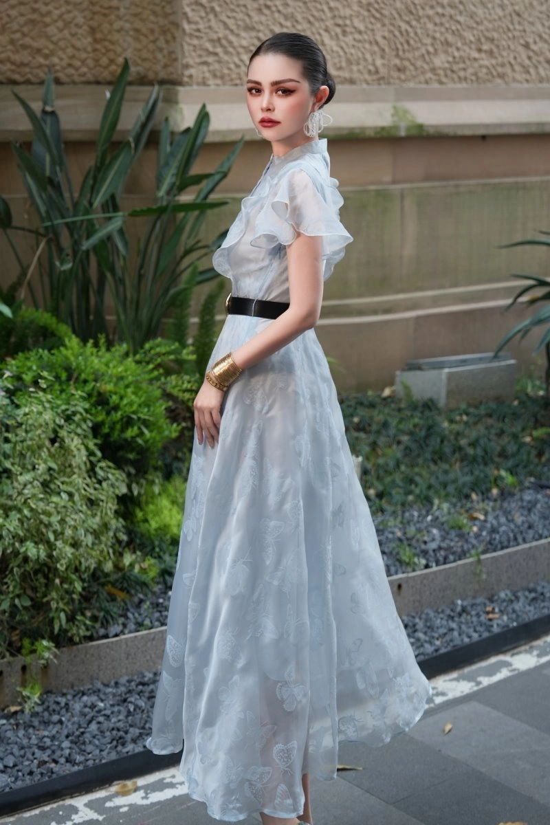 Christian Dior Dress