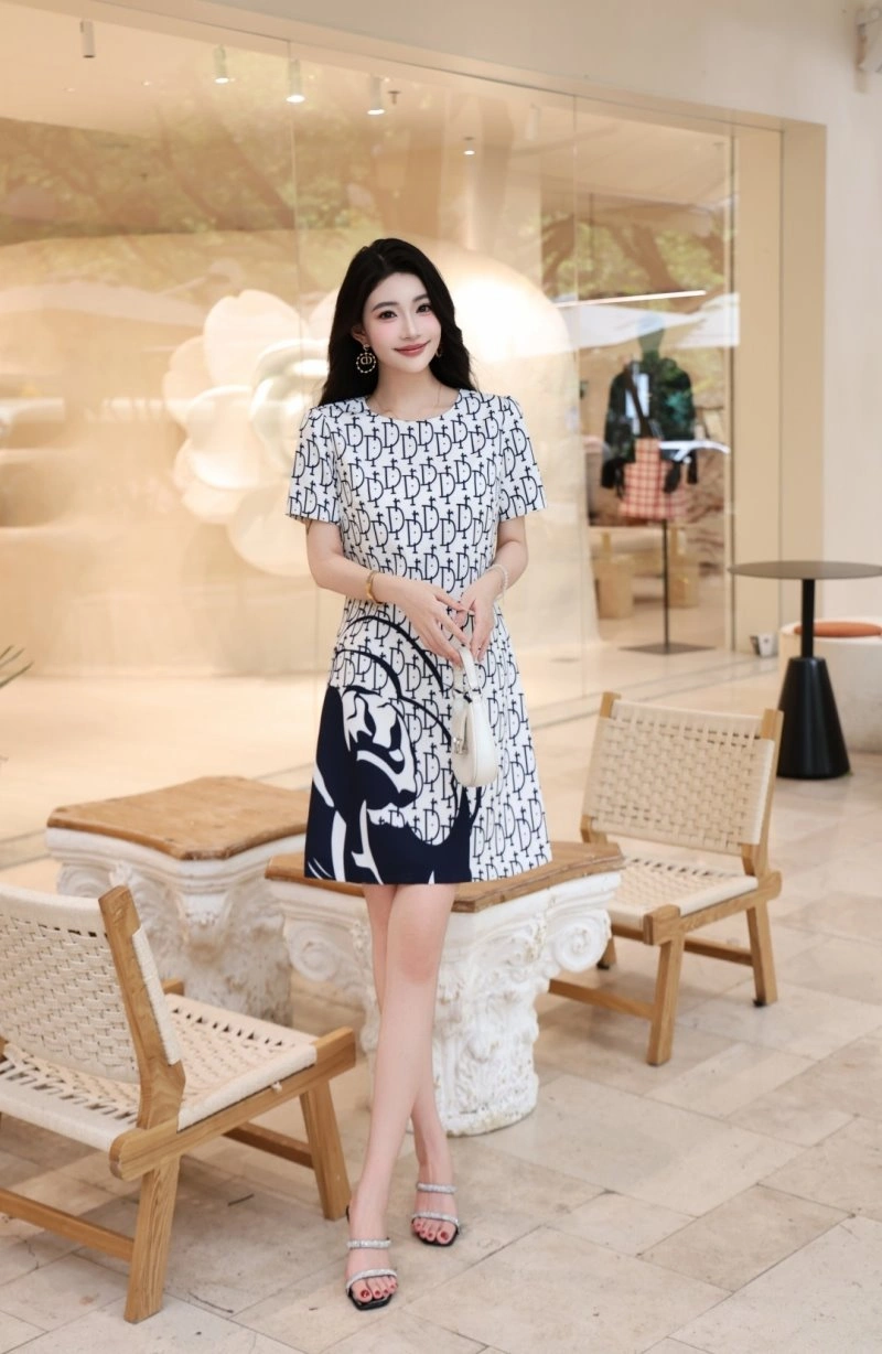 Economical Christian Dior Dress