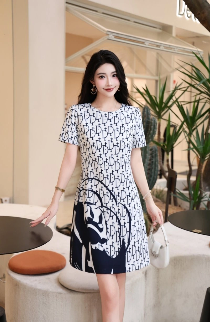 Economical Christian Dior Dress