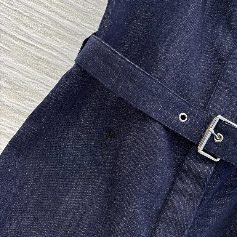 1:1 copy Christian Dior Dress