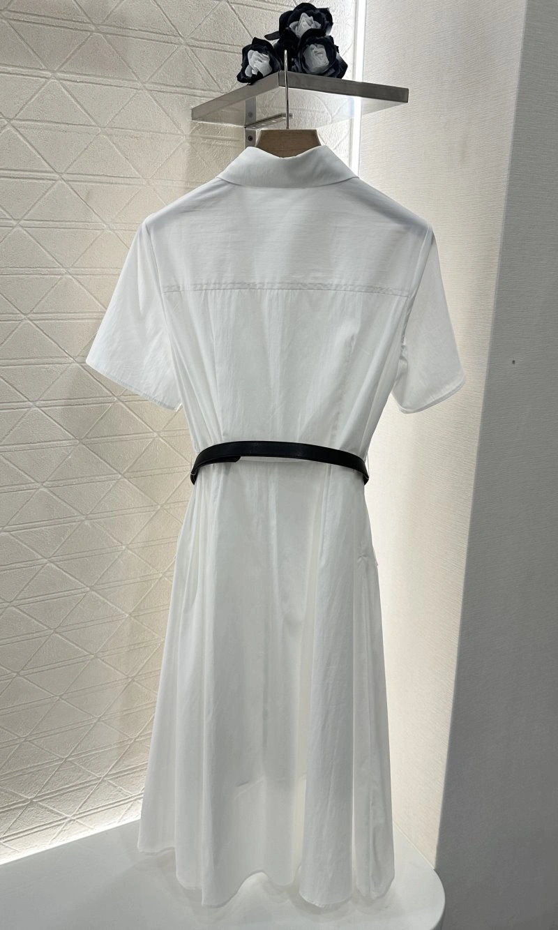 Indistinguishable Christian Dior Dress