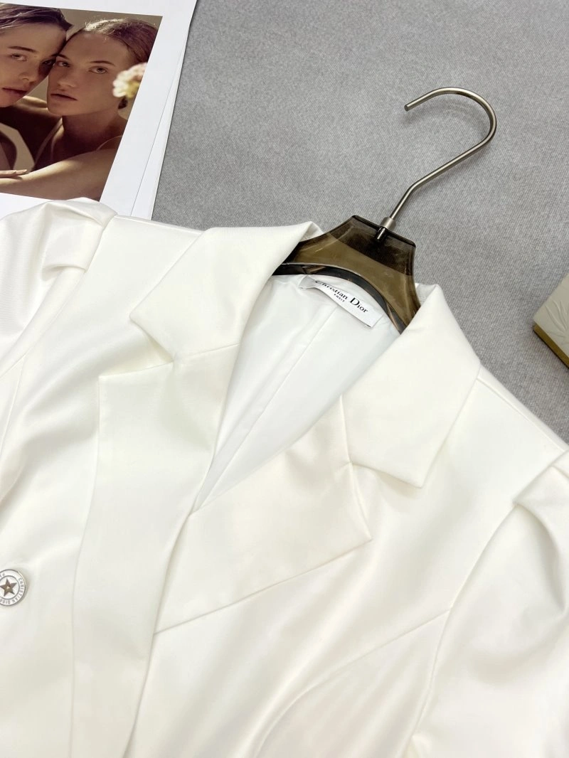 1:1 copy Christian Dior Dress