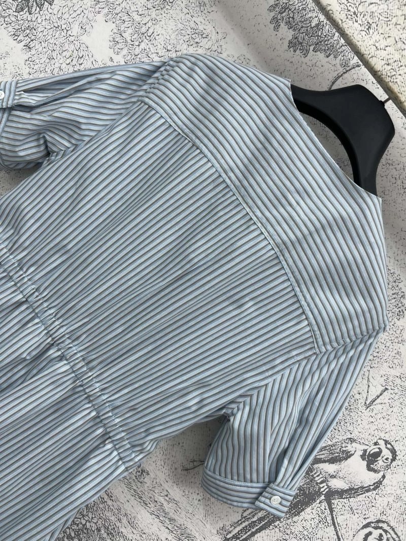 1:1 copy Christian Dior Dress