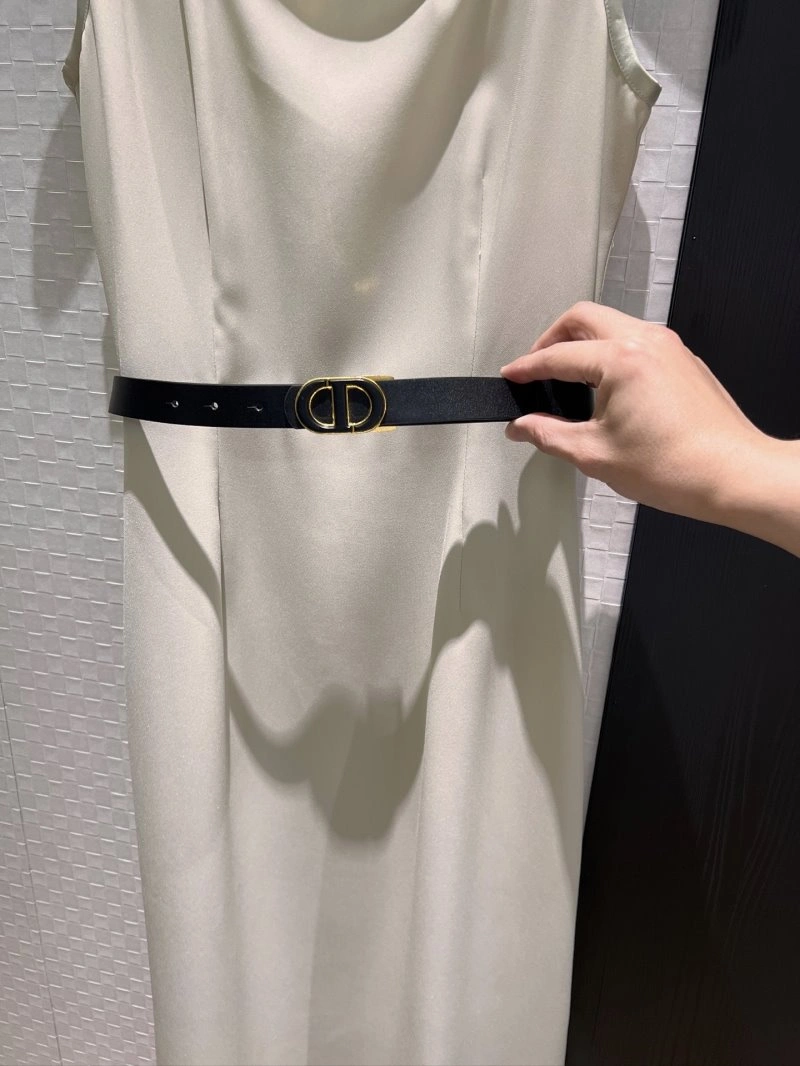 1:1 copy Christian Dior Dress