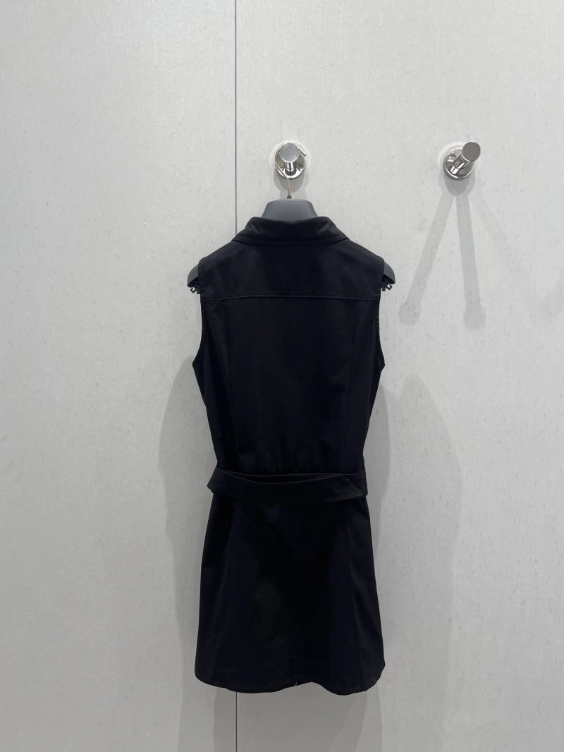 1:1 copy Christian Dior Dress