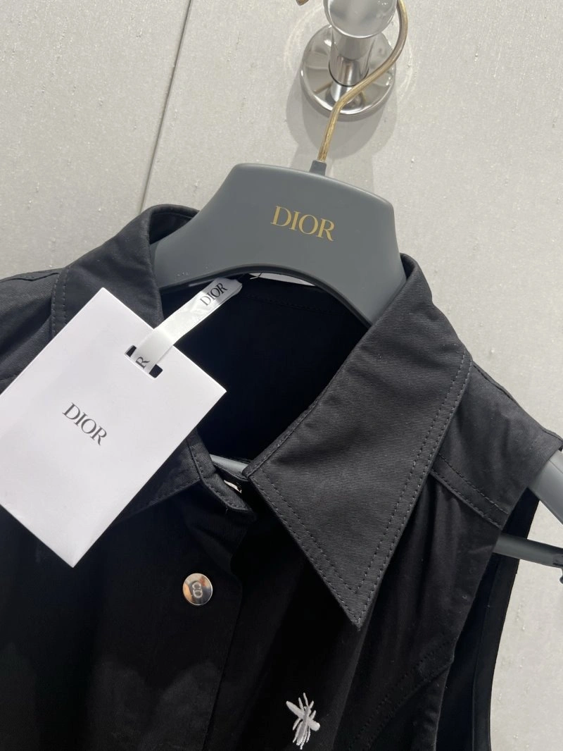 1:1 copy Christian Dior Dress