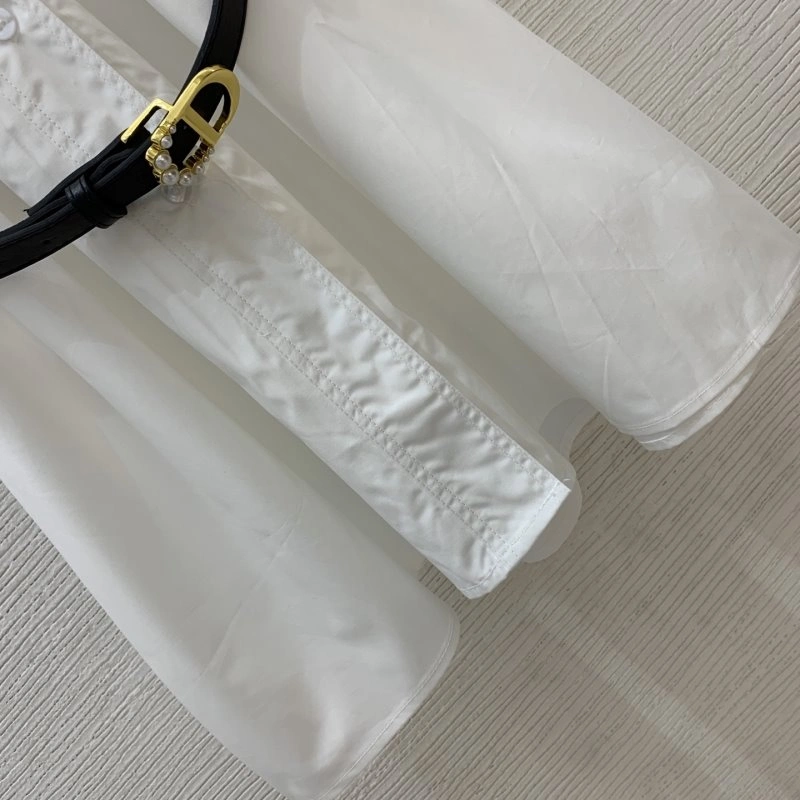 Accurate model Christian Dior Dress