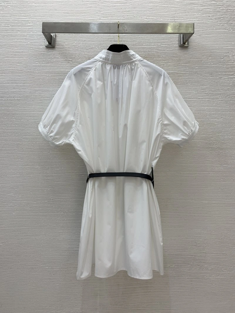 Accurate model Christian Dior Dress