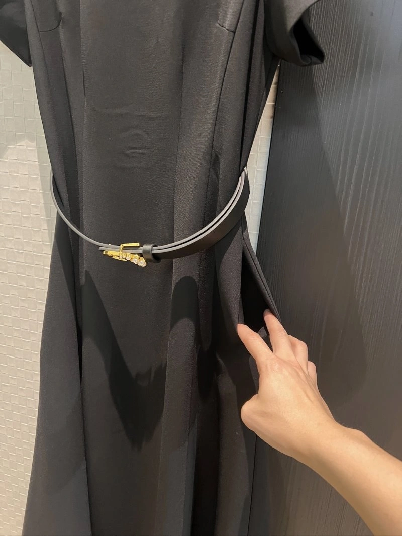 Indistinguishable Christian Dior Dress