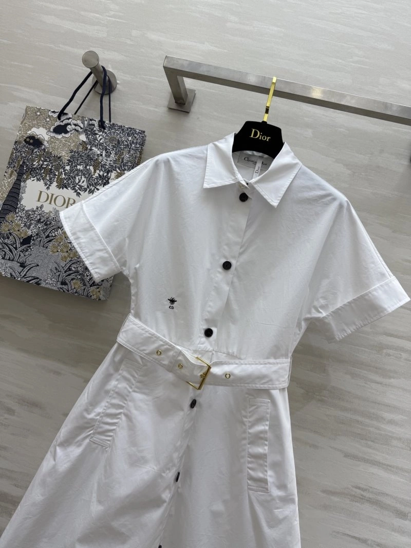1:1 copy Christian Dior Dress