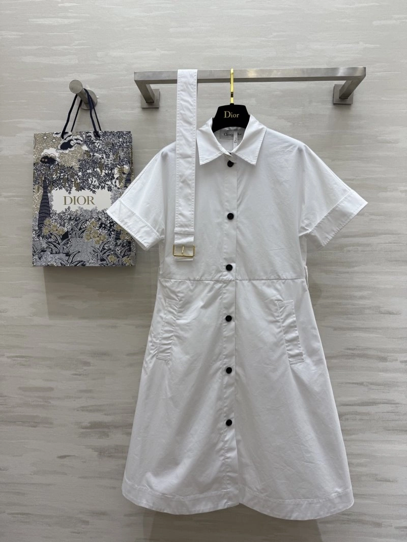 1:1 copy Christian Dior Dress