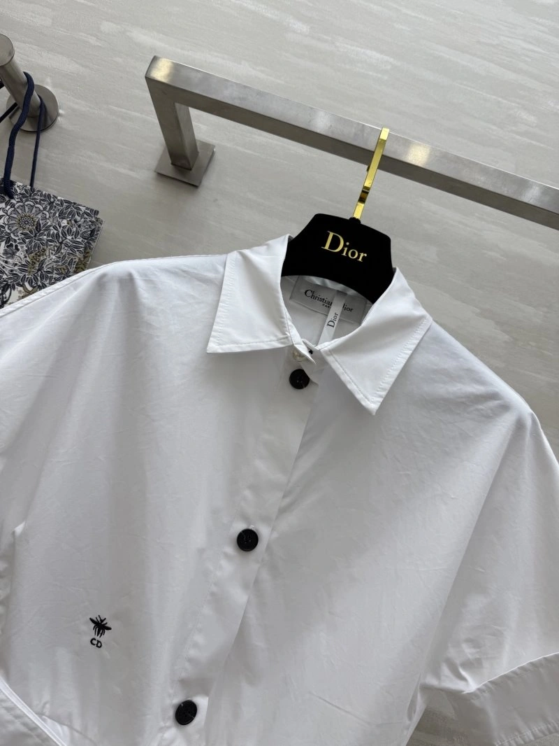 1:1 copy Christian Dior Dress