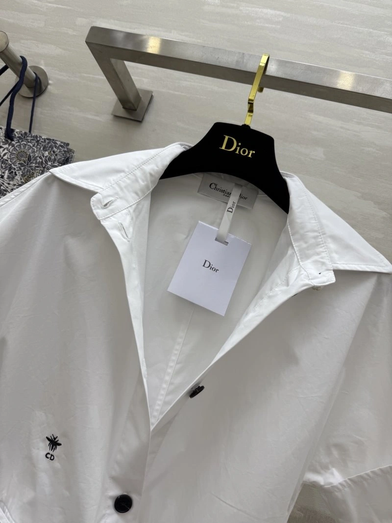 1:1 copy Christian Dior Dress