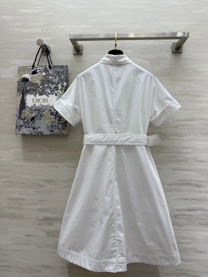 1:1 copy Christian Dior Dress