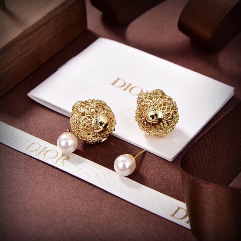 Cut-rate Christian Dior Earrings