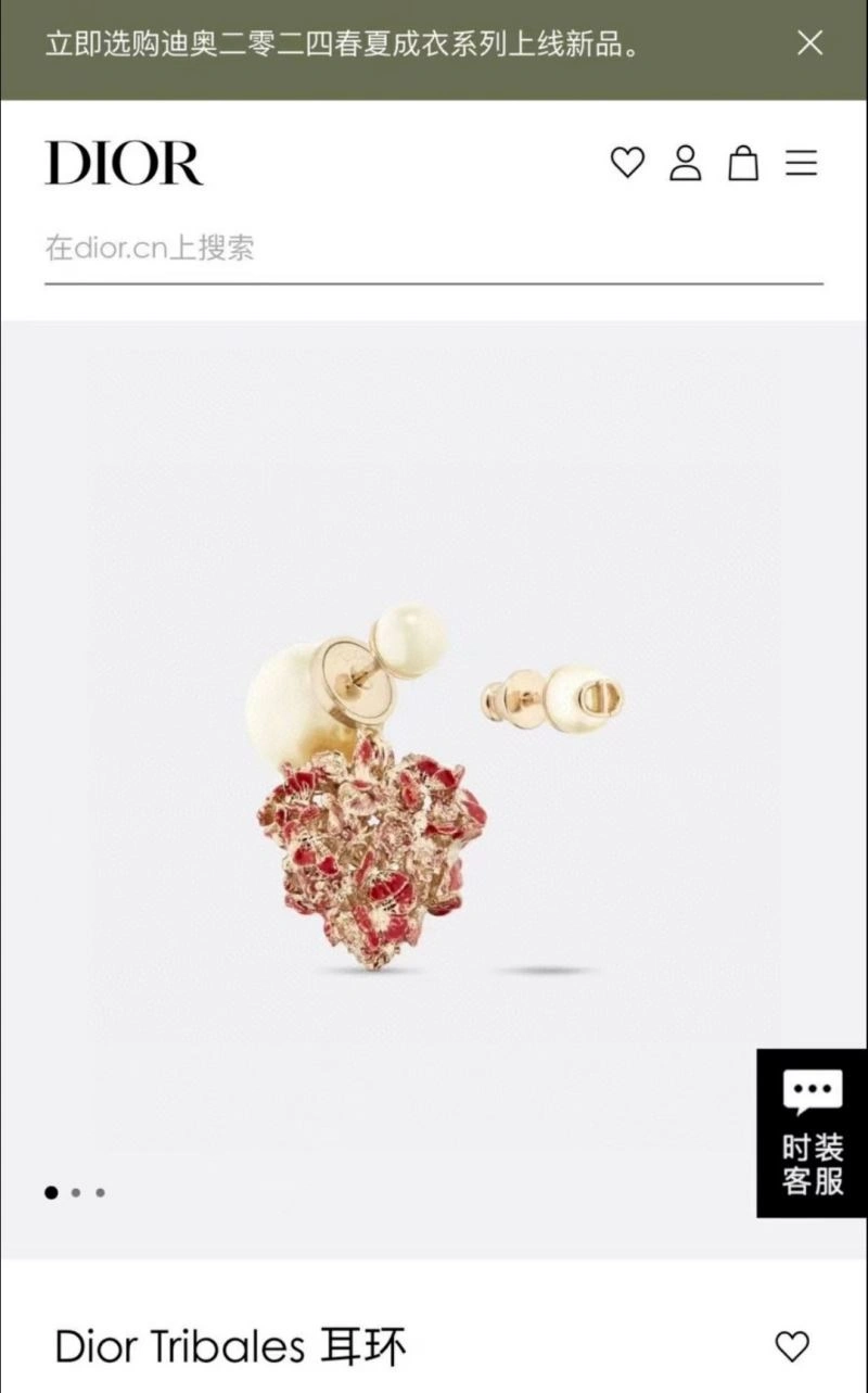 Economical Christian Dior Earrings