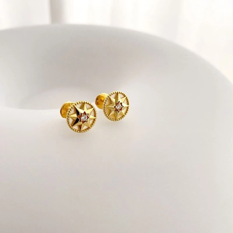 Precise copy Christian Dior Earrings