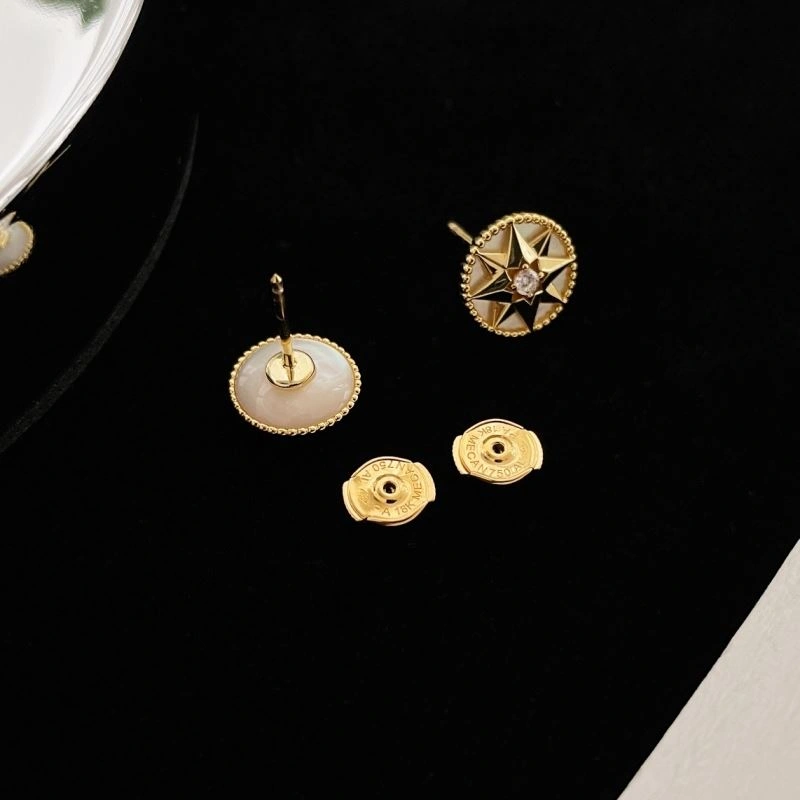 Precise copy Christian Dior Earrings
