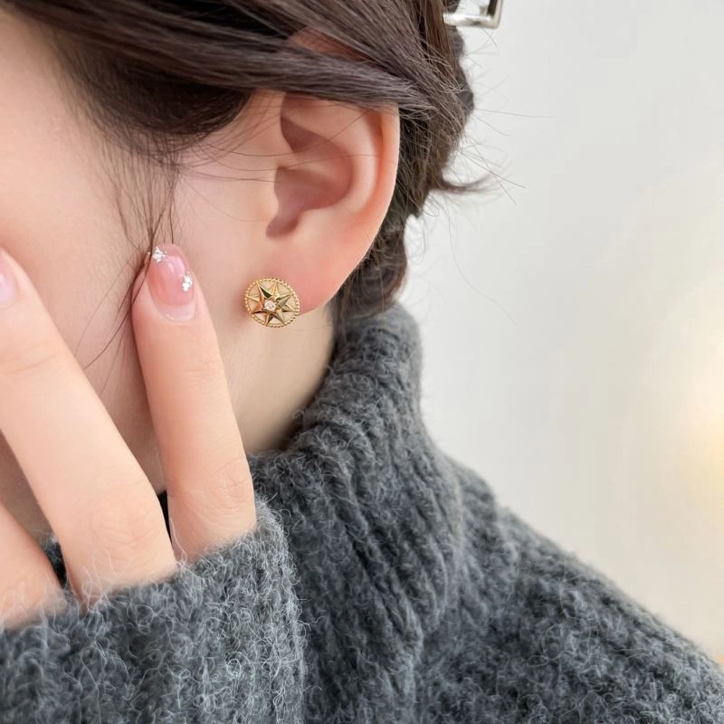 Precise copy Christian Dior Earrings