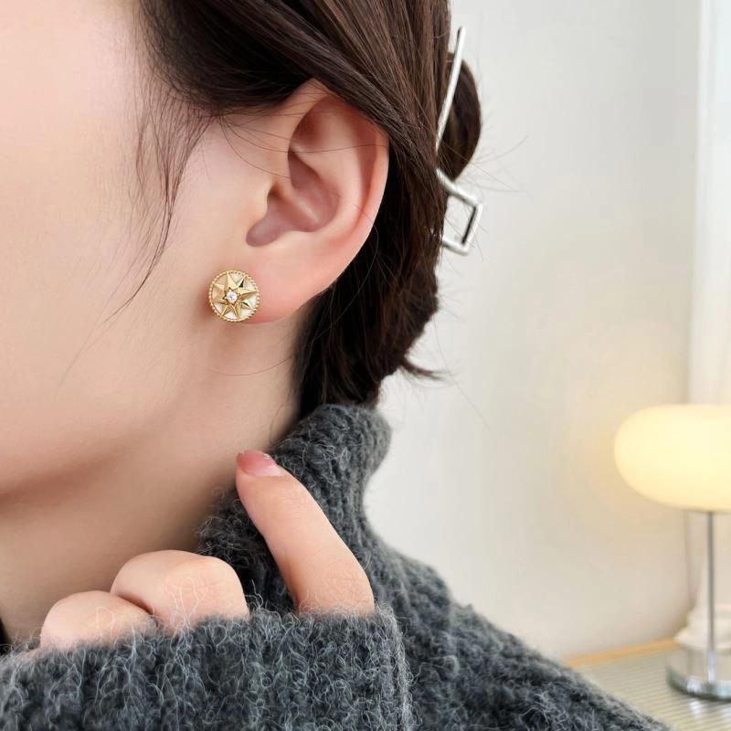 Precise copy Christian Dior Earrings