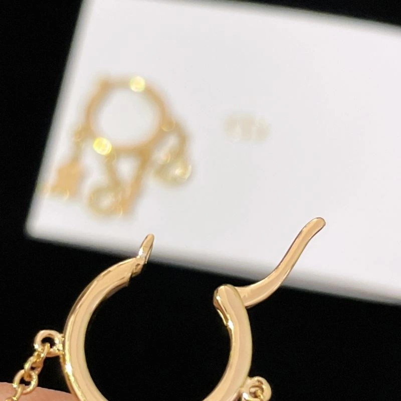 Indistinguishable Christian Dior Earrings