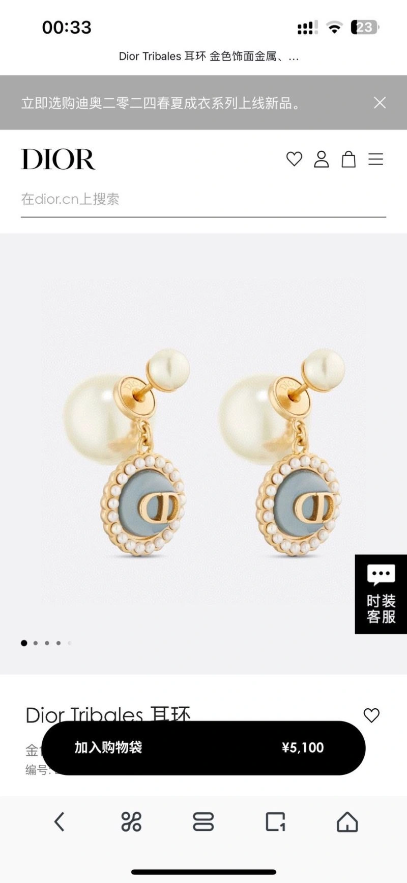 Affordable Christian Dior Earrings