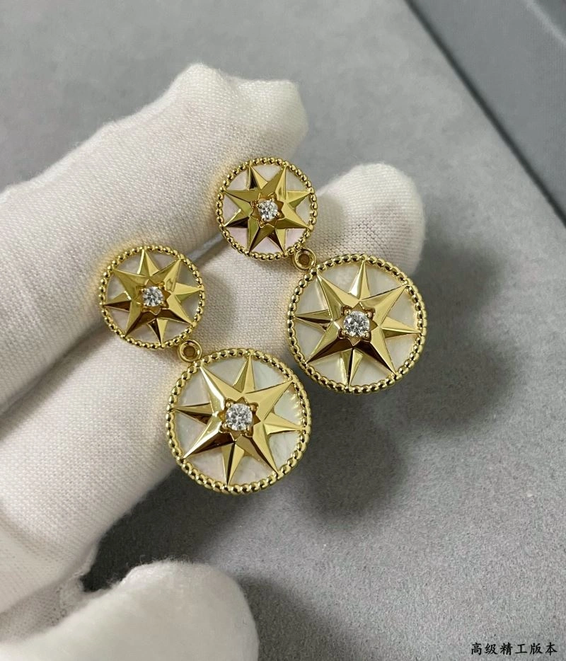 1:1 copy Christian Dior Earrings