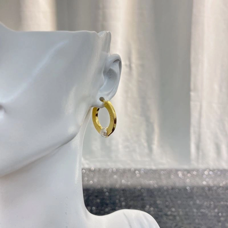 Exact replica Christian Dior Earrings