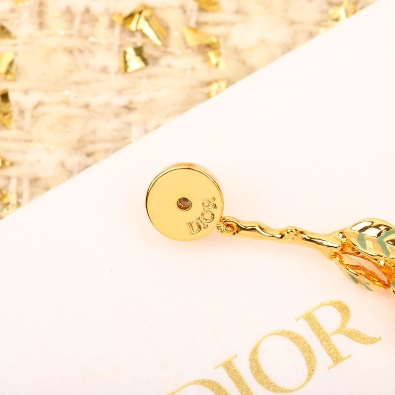 Inexpensive Christian Dior Earrings