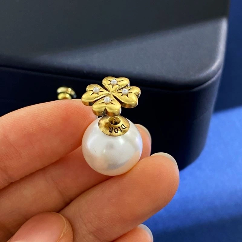 Precise copy Christian Dior Earrings