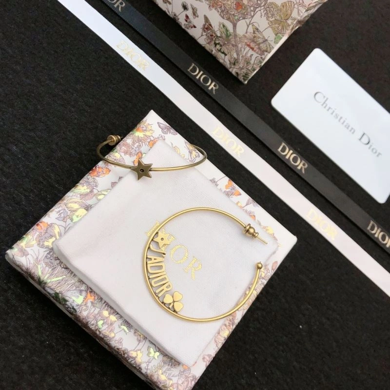 1:1 copy Christian Dior Earrings
